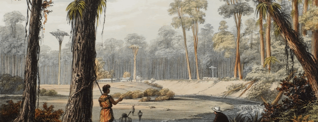 Utakura 7 Charitable Trust – Utakura 7 Incorporation